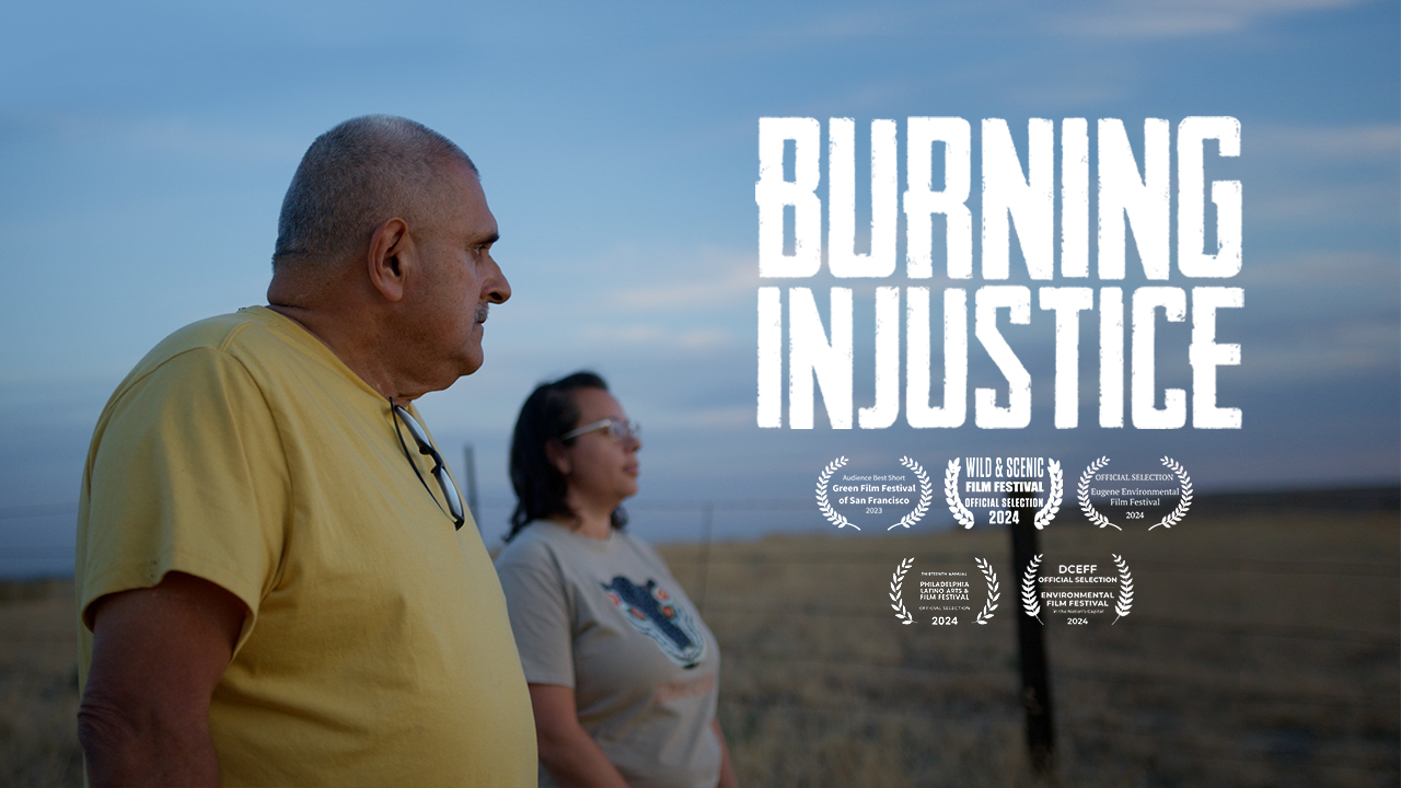 Stop Plastic Pollution with Films | The Story of Stuff