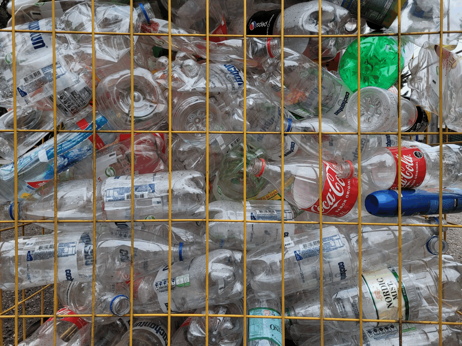 Support Bottle Deposit Laws to Reduce Plastic Pollution